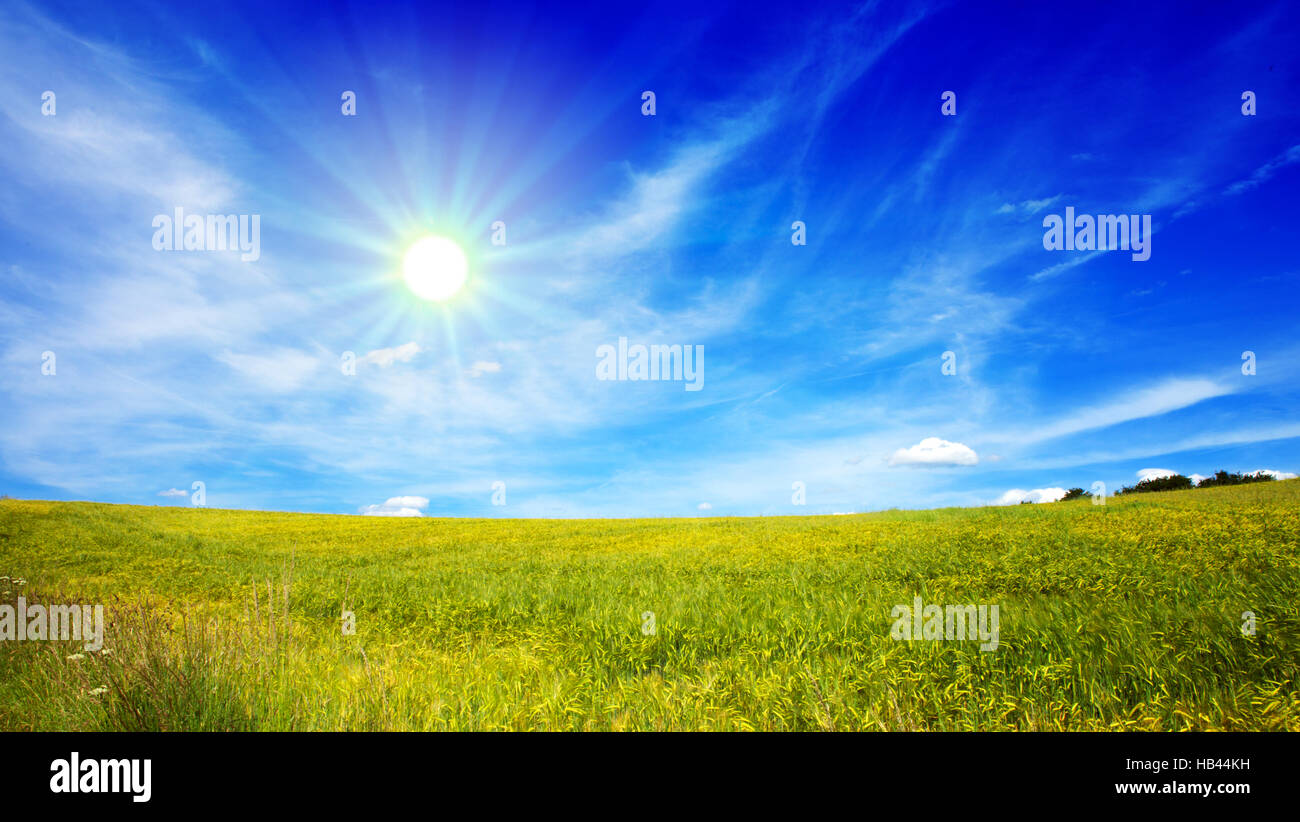 Meadow in spring sunset hi-res stock photography and images - Alamy
