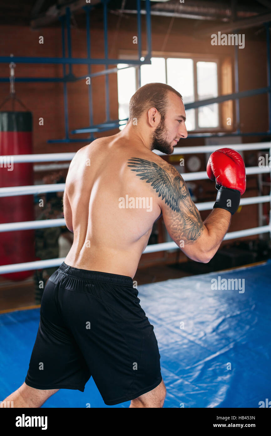 Blue boxer boxing gym hi-res stock photography and images - Alamy