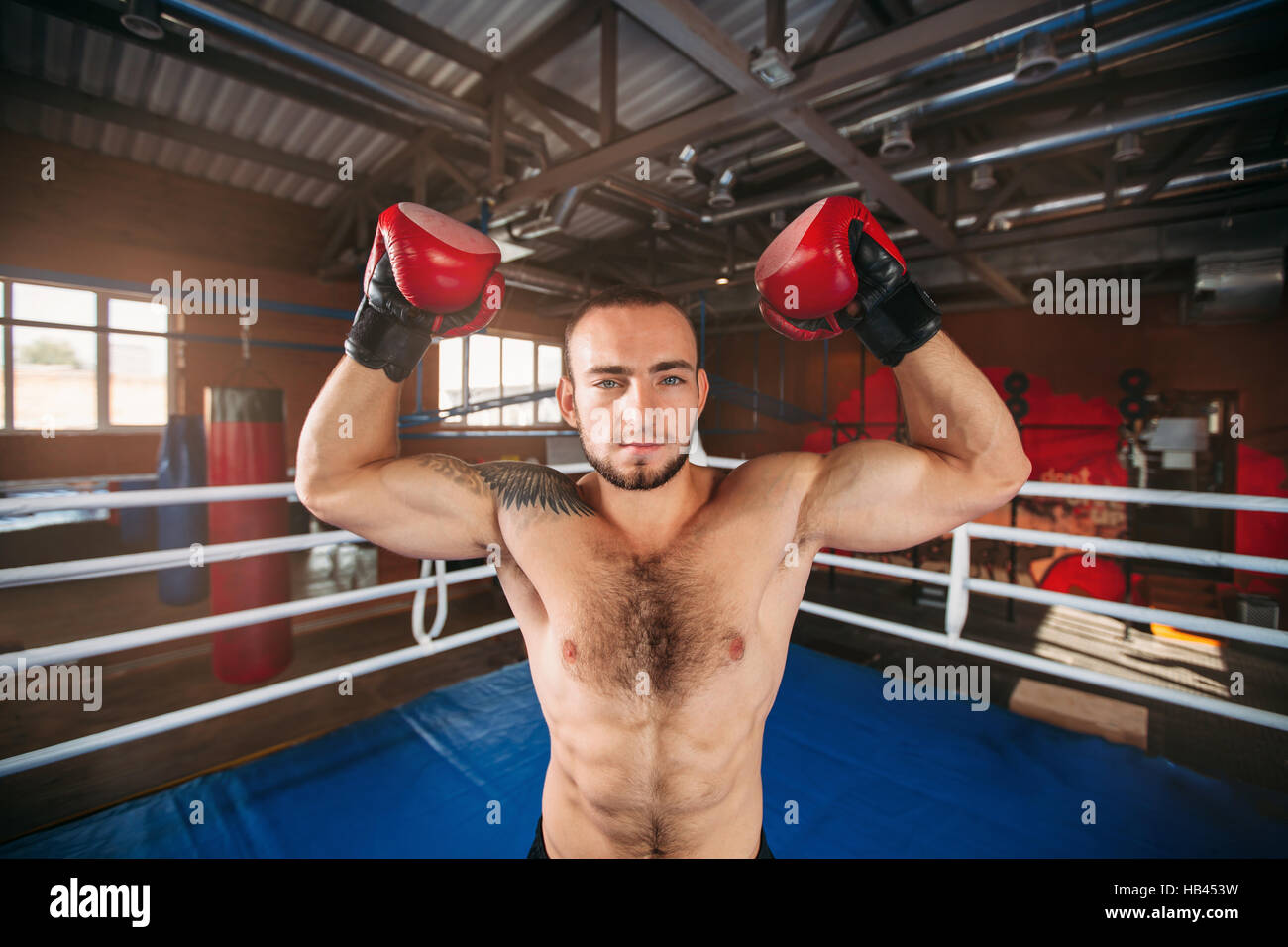 Boxer shows muscles Stock Photo - Alamy