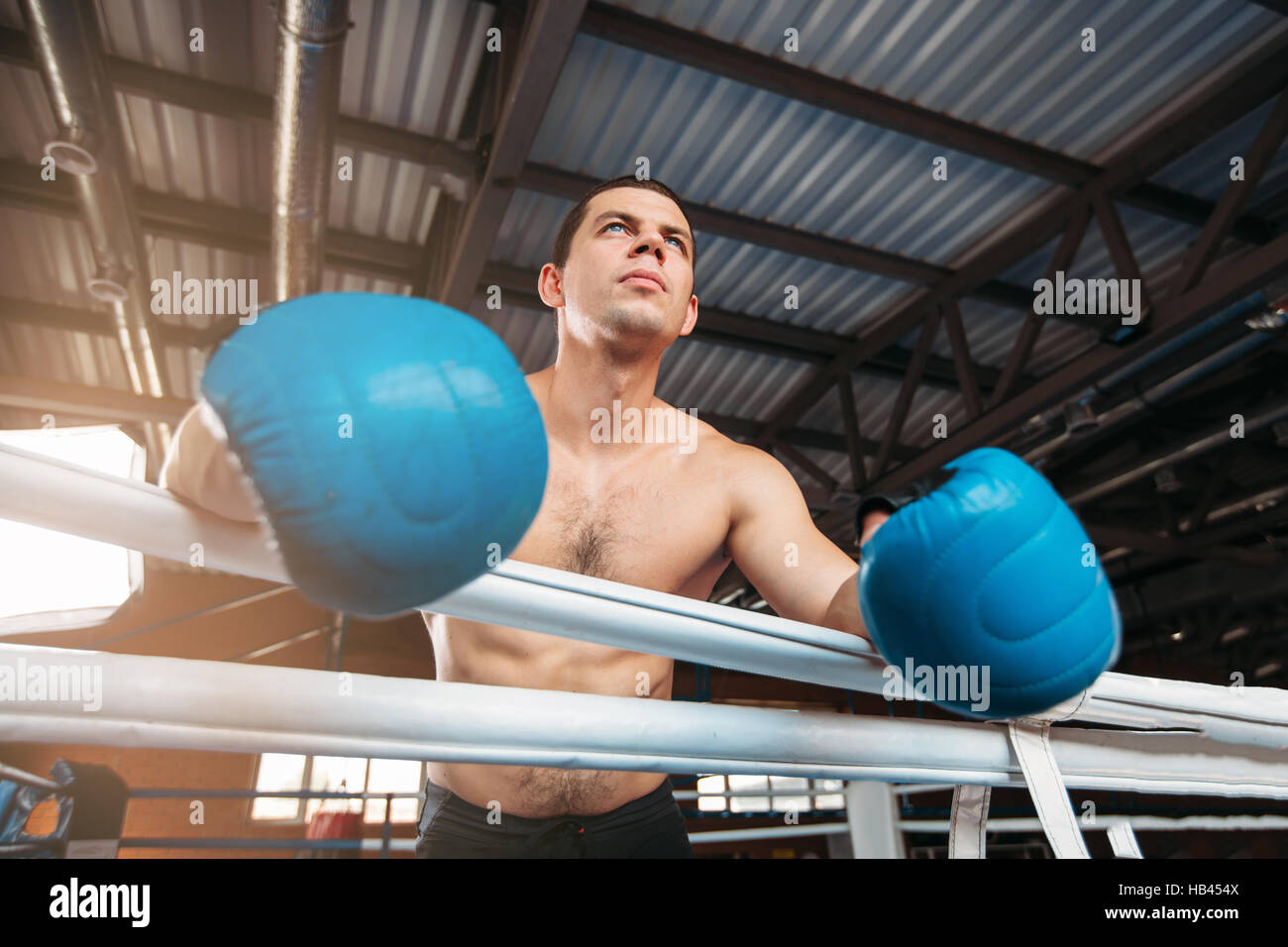 Boxer on the ropes ropes hi-res stock photography and images - Alamy