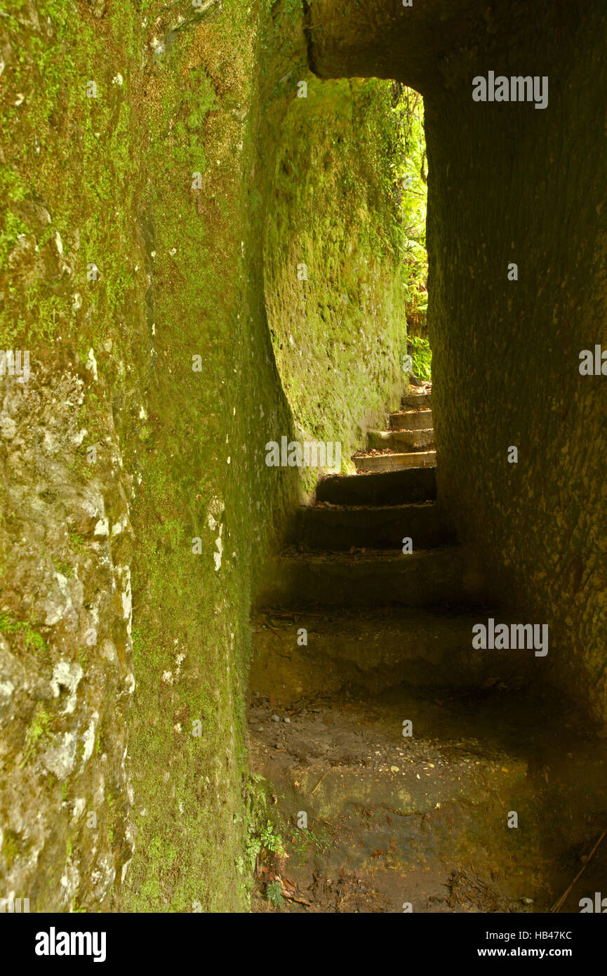 Tutea Falls cave Stock Photo - Alamy