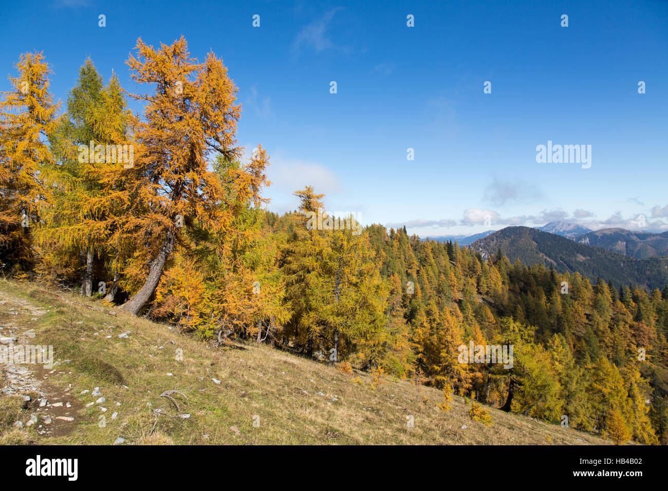 Fall in the alps Stock Photo - Alamy
