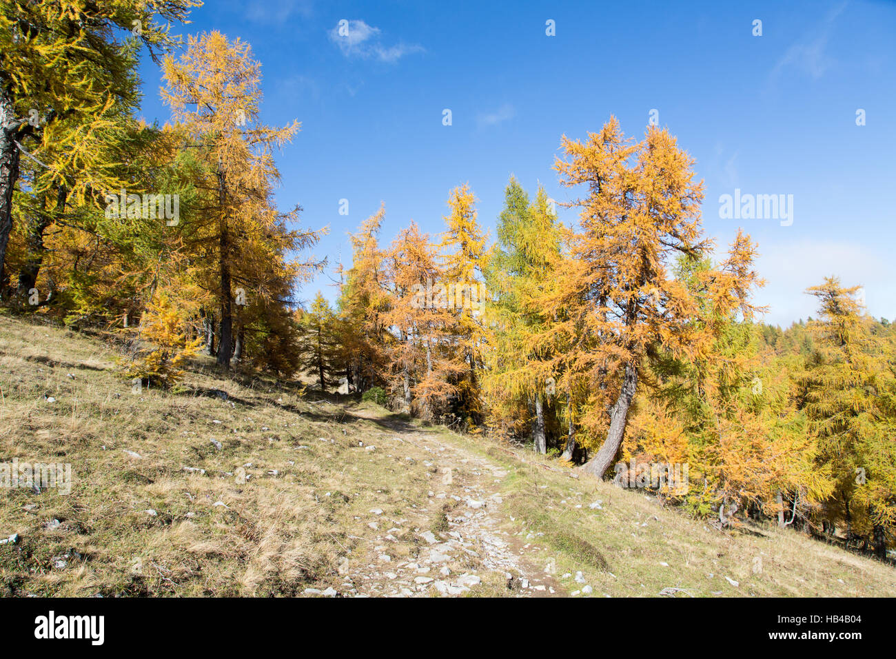 Fall in alps hi-res stock photography and images - Alamy