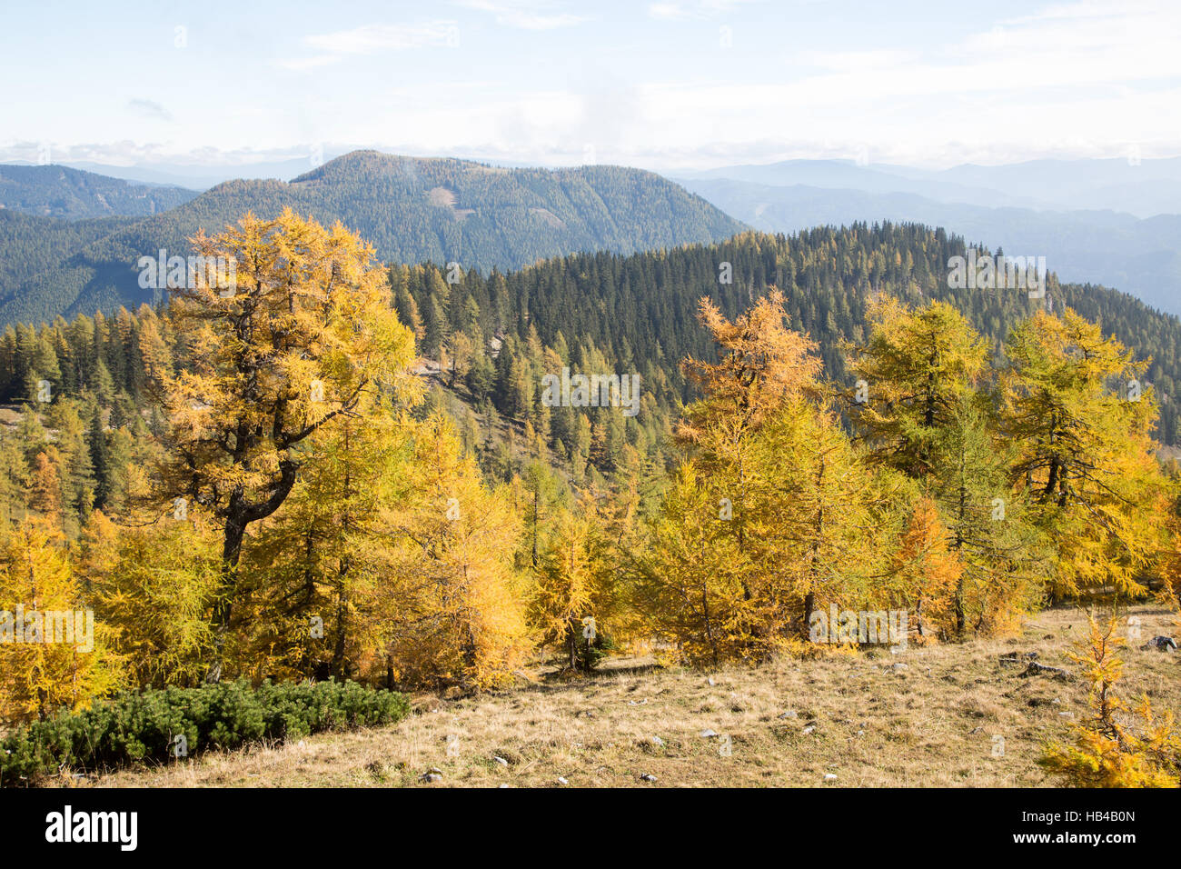 Fall in the alps Stock Photo - Alamy