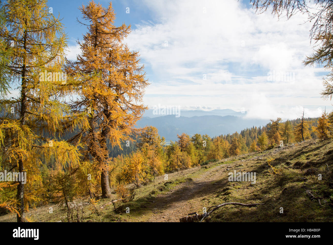 Fall in the alps Stock Photo - Alamy