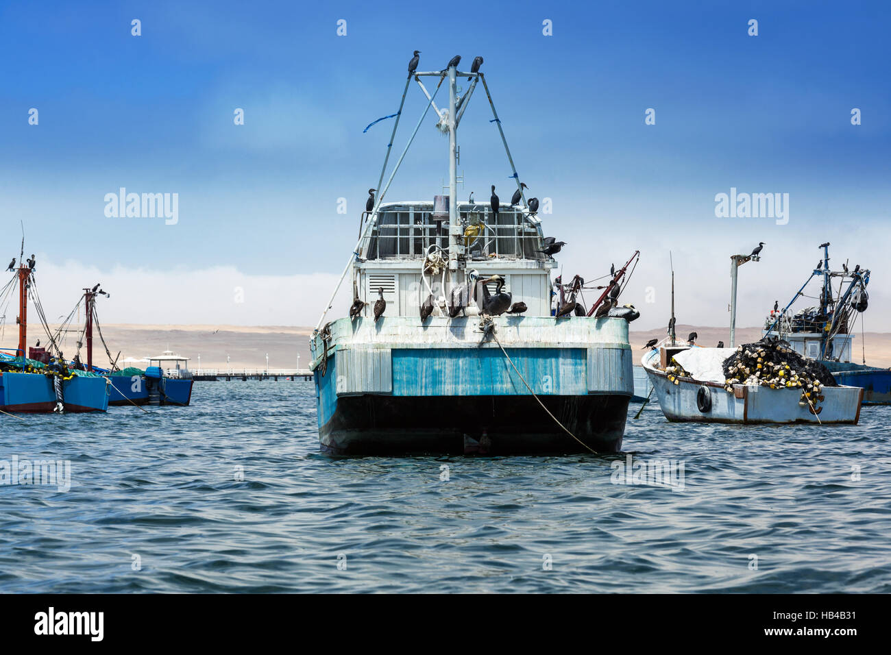 birds on board vessels Stock Photo - Alamy