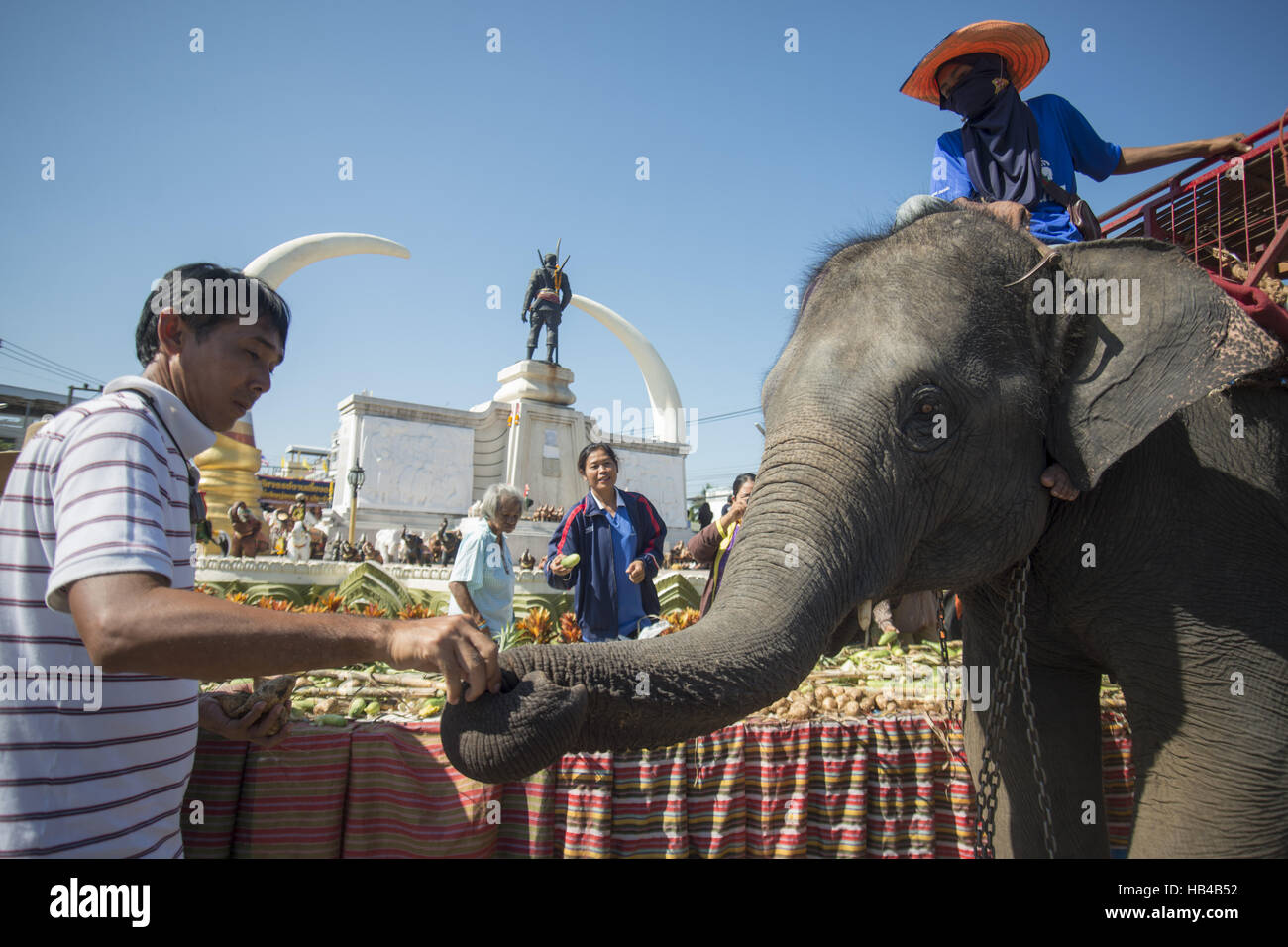 THAILAND SURIN ELEPHANT ROUND UP FESTIVAL Stock Photo - Alamy