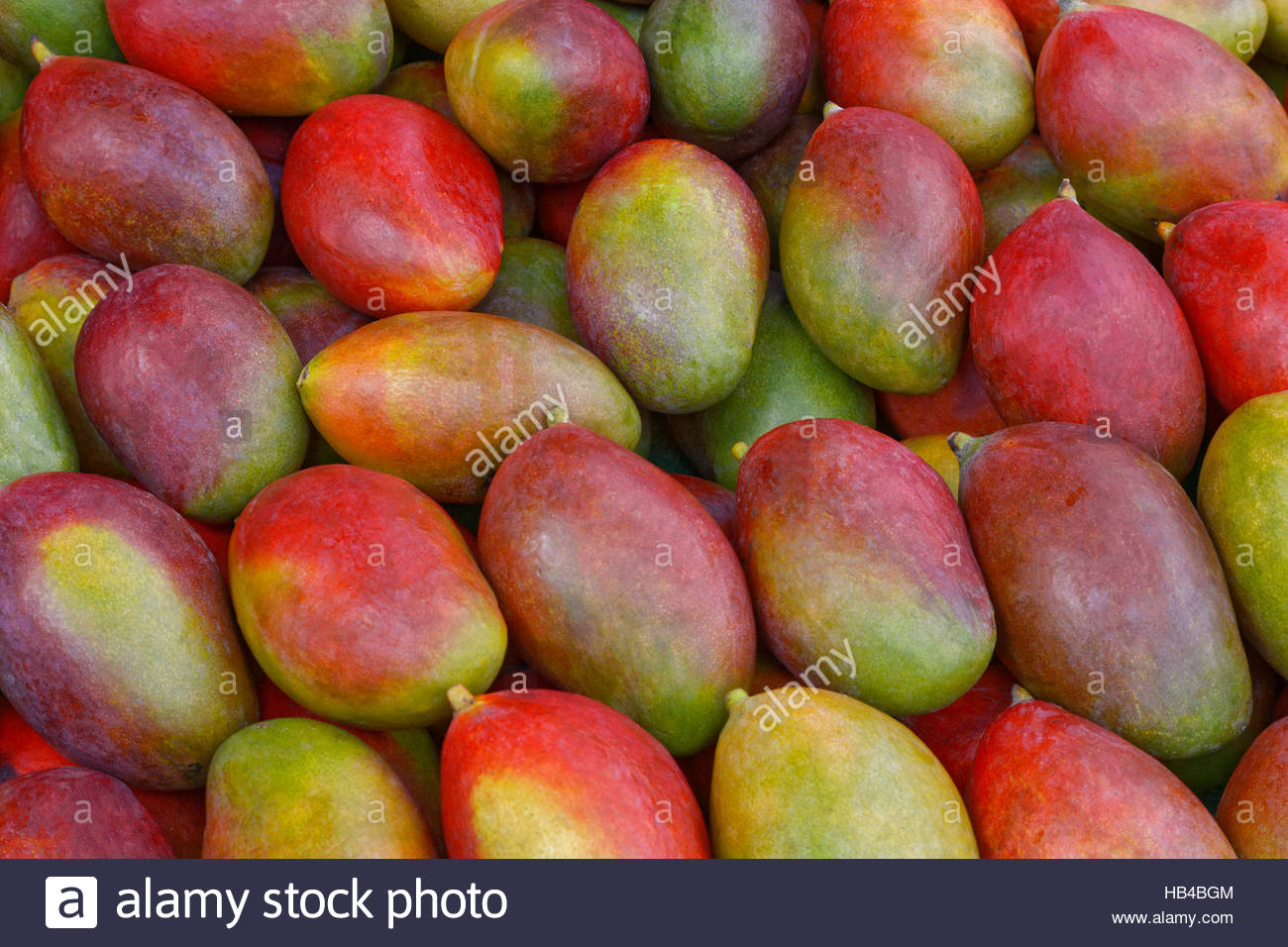 Mangos And Oranges Stock Photos & Mangos And Oranges Stock Images - Alamy