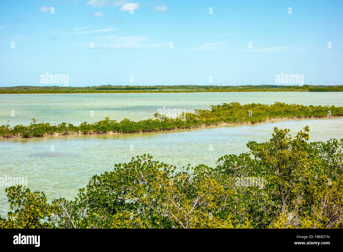 tranquil nature in florida keys Stock Photo - Alamy
