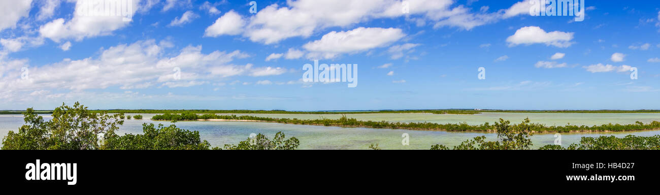 tranquil nature in florida keys Stock Photo - Alamy