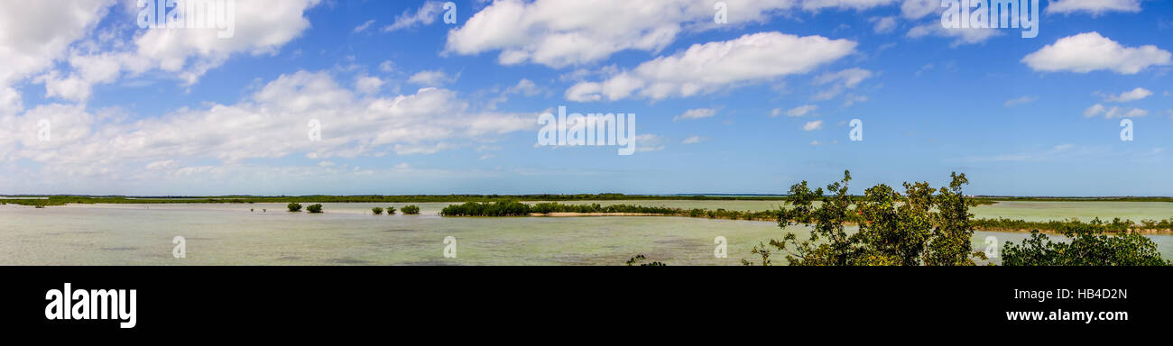 tranquil nature in florida keys Stock Photo - Alamy