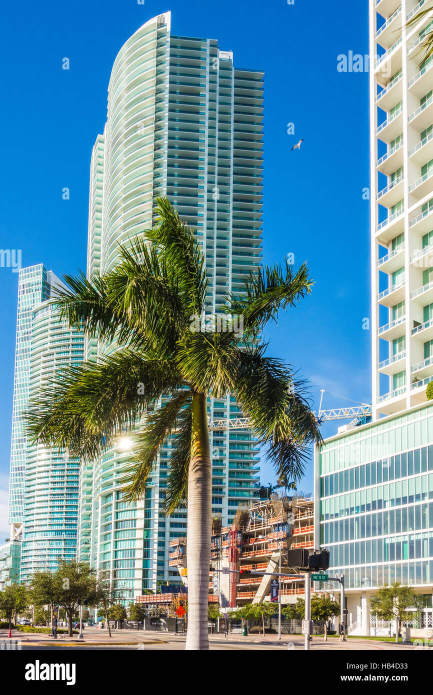 miami florida city skyline and streets Stock Photo - Alamy