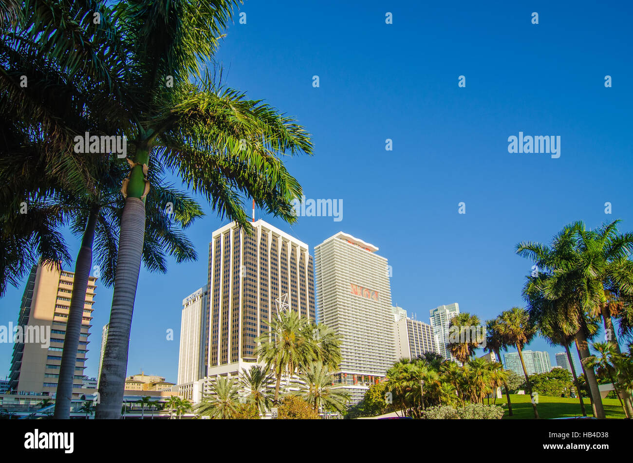 miami florida city skyline and streets Stock Photo - Alamy