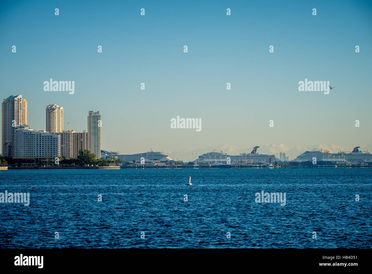 Miami Florida city skyline morning with blue sky Stock Photo - Alamy