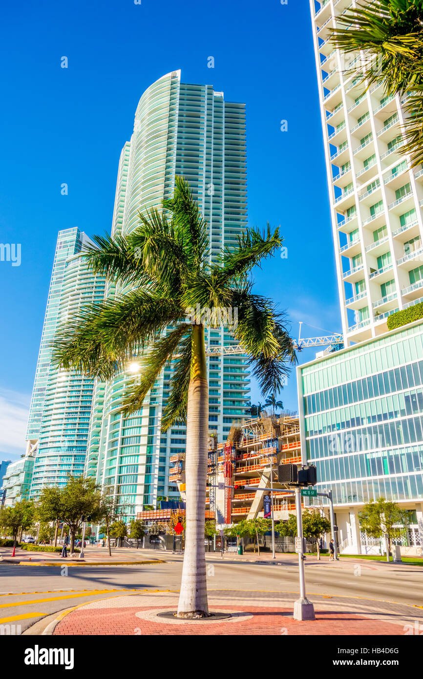 Beautiful miami skyline in hi-res stock photography and images - Alamy