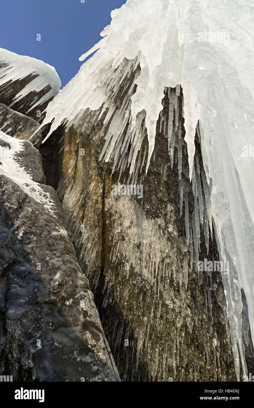 Cold icicles nose hi-res stock photography and images - Alamy