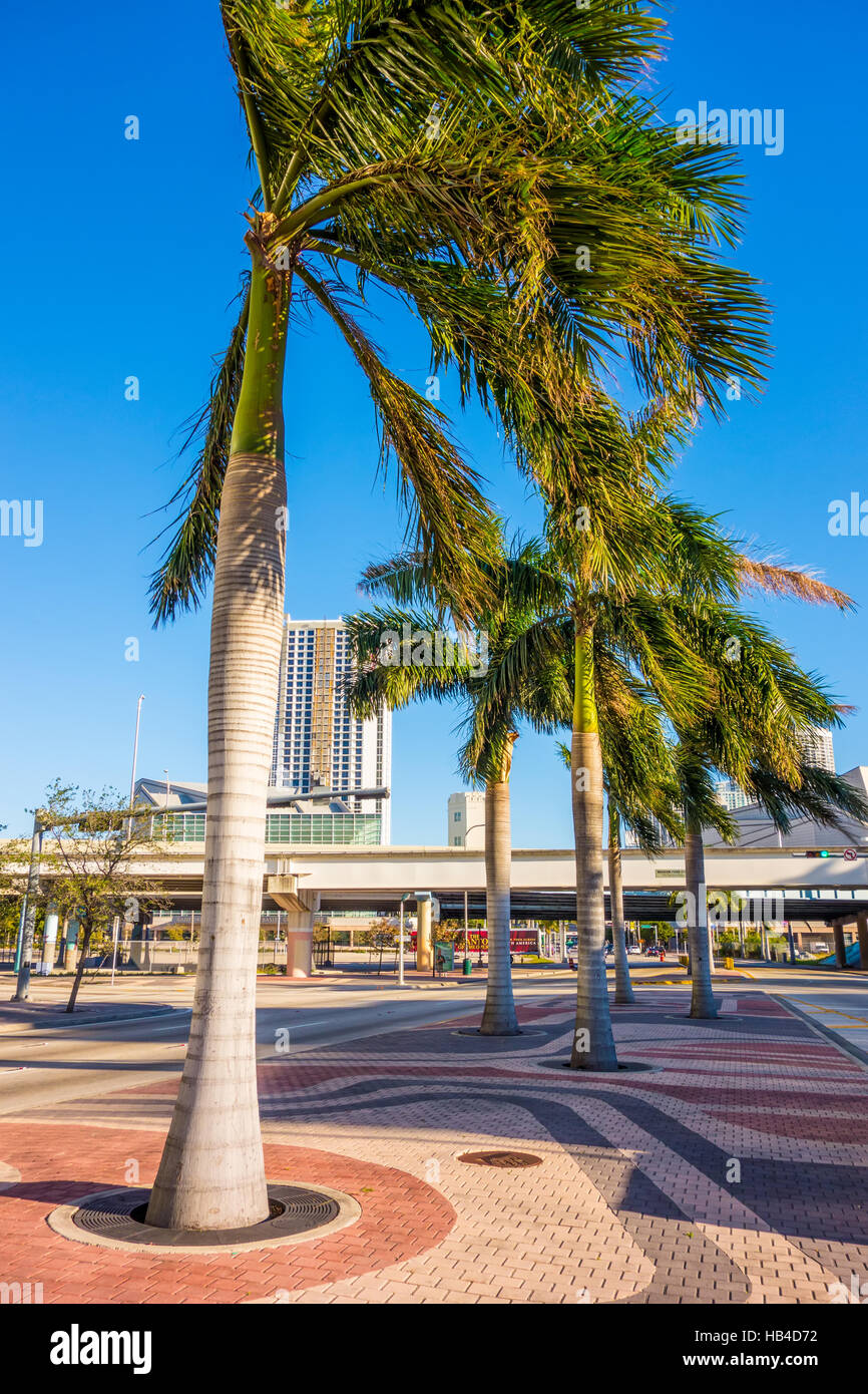 Beautiful Miami Beach fish eye cityscape with art deco architecture and ...