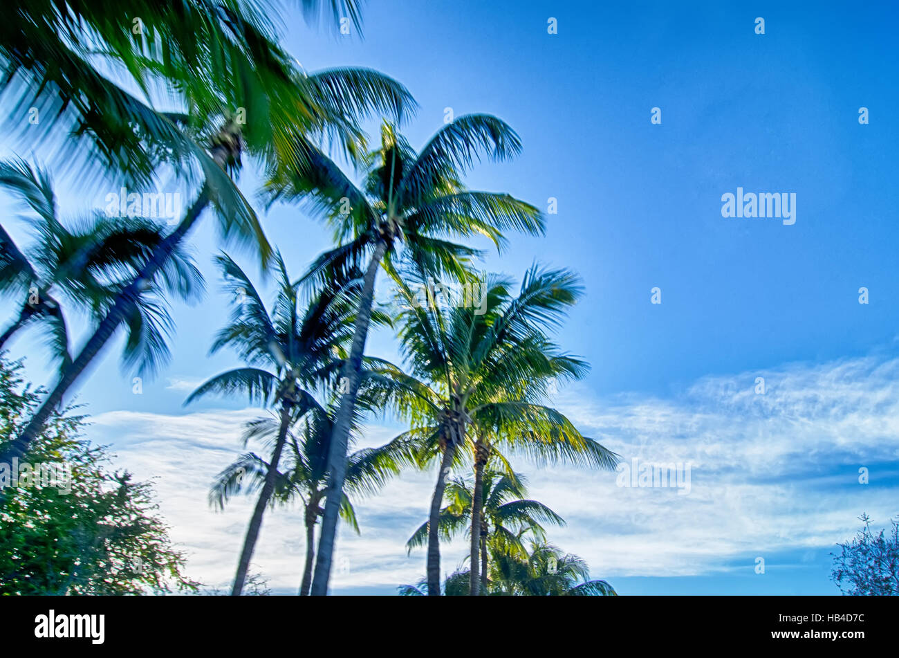 Summer vacation on miami beach hi-res stock photography and images - Alamy