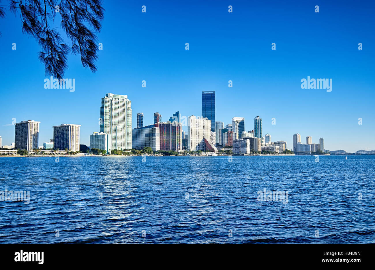 Miami Florida city skyline morning with blue sky Stock Photo - Alamy