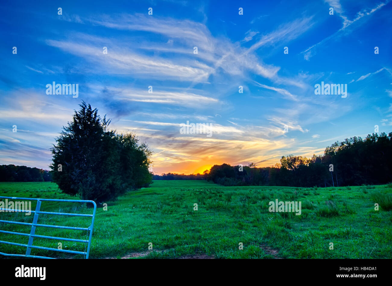 South carolina farm hi-res stock photography and images - Alamy