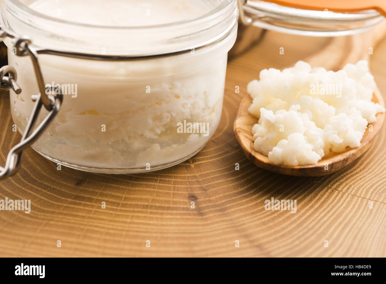 Organic probiotic milk kefir grains Stock Photo - Alamy