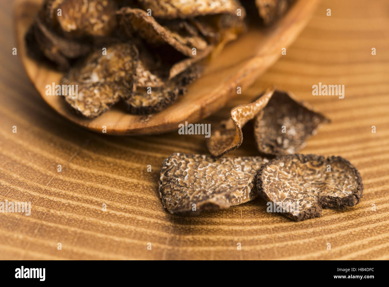 black truffle mushroom - gourmet vegetable Stock Photo - Alamy