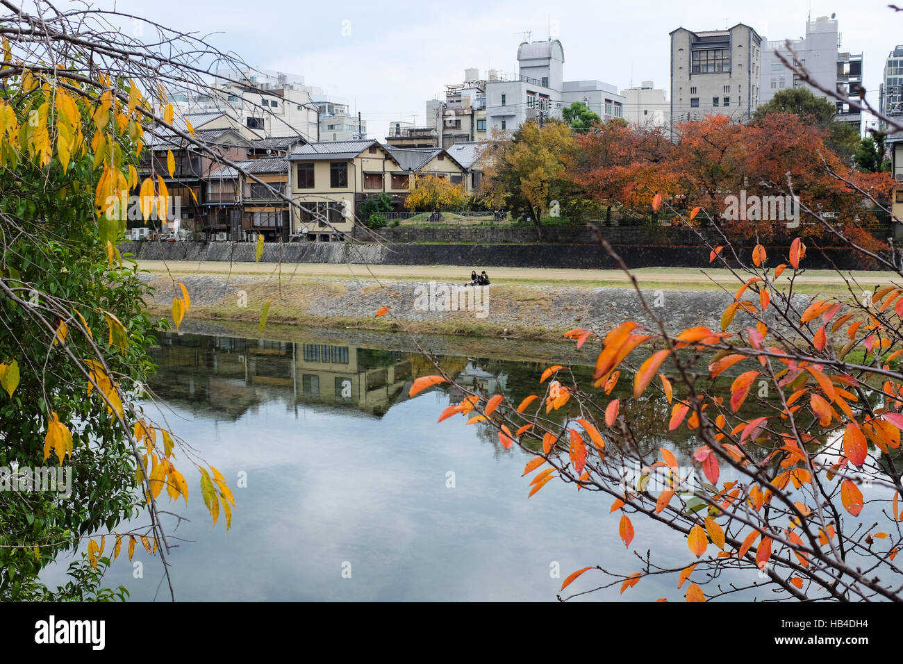 Kyoto's Kamogawa (Kamo River) in autumn Stock Photo - Alamy