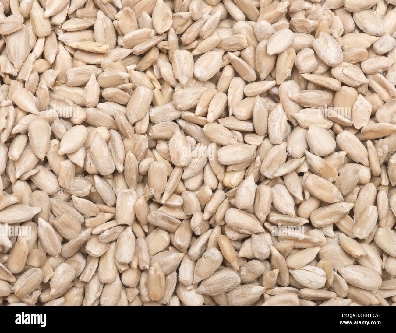 sunflower seed background Stock Photo - Alamy