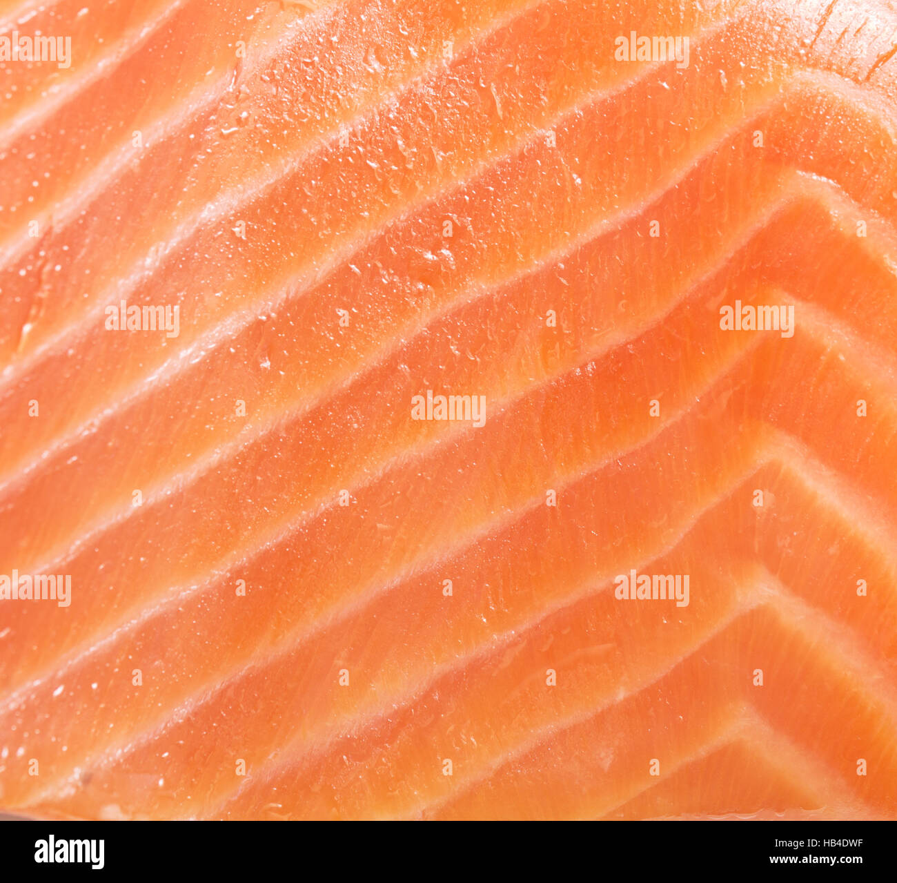 red fish background Stock Photo - Alamy