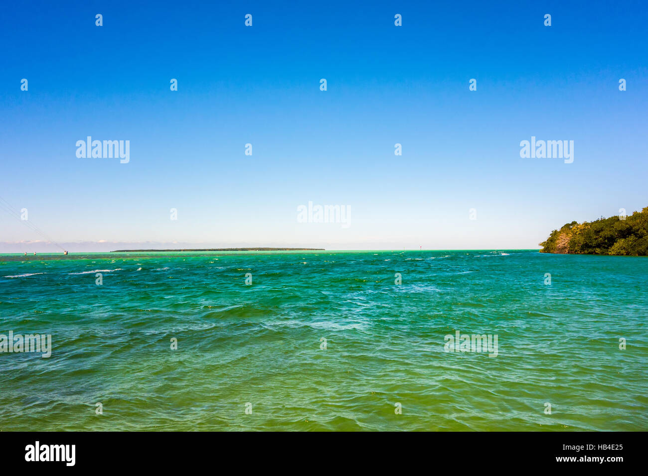 tranquil nature in florida keys Stock Photo - Alamy