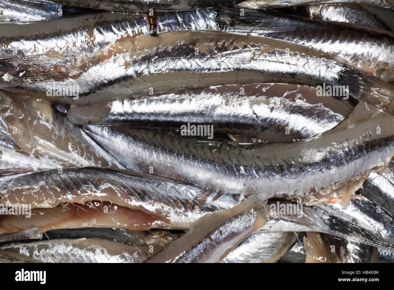 Anchovies, close up Stock Photo - Alamy