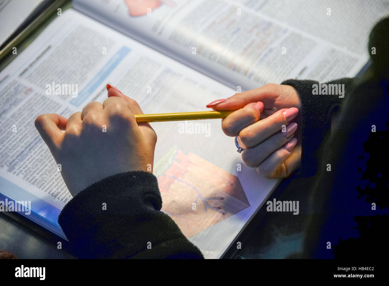 Hands studying anatomy Stock Photo - Alamy