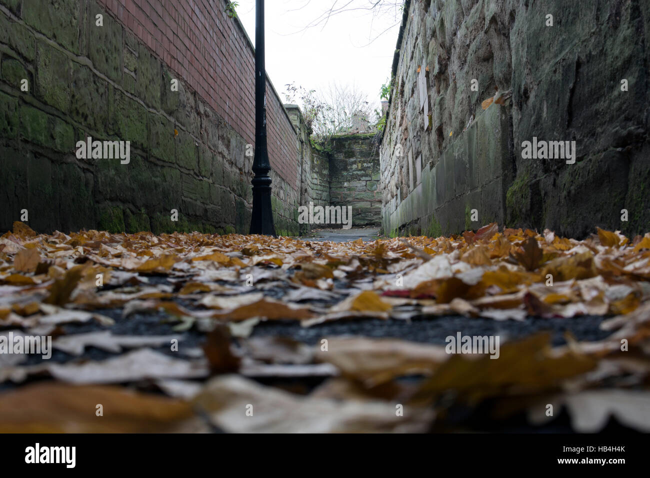 Tink where hi-res stock photography and images - Alamy