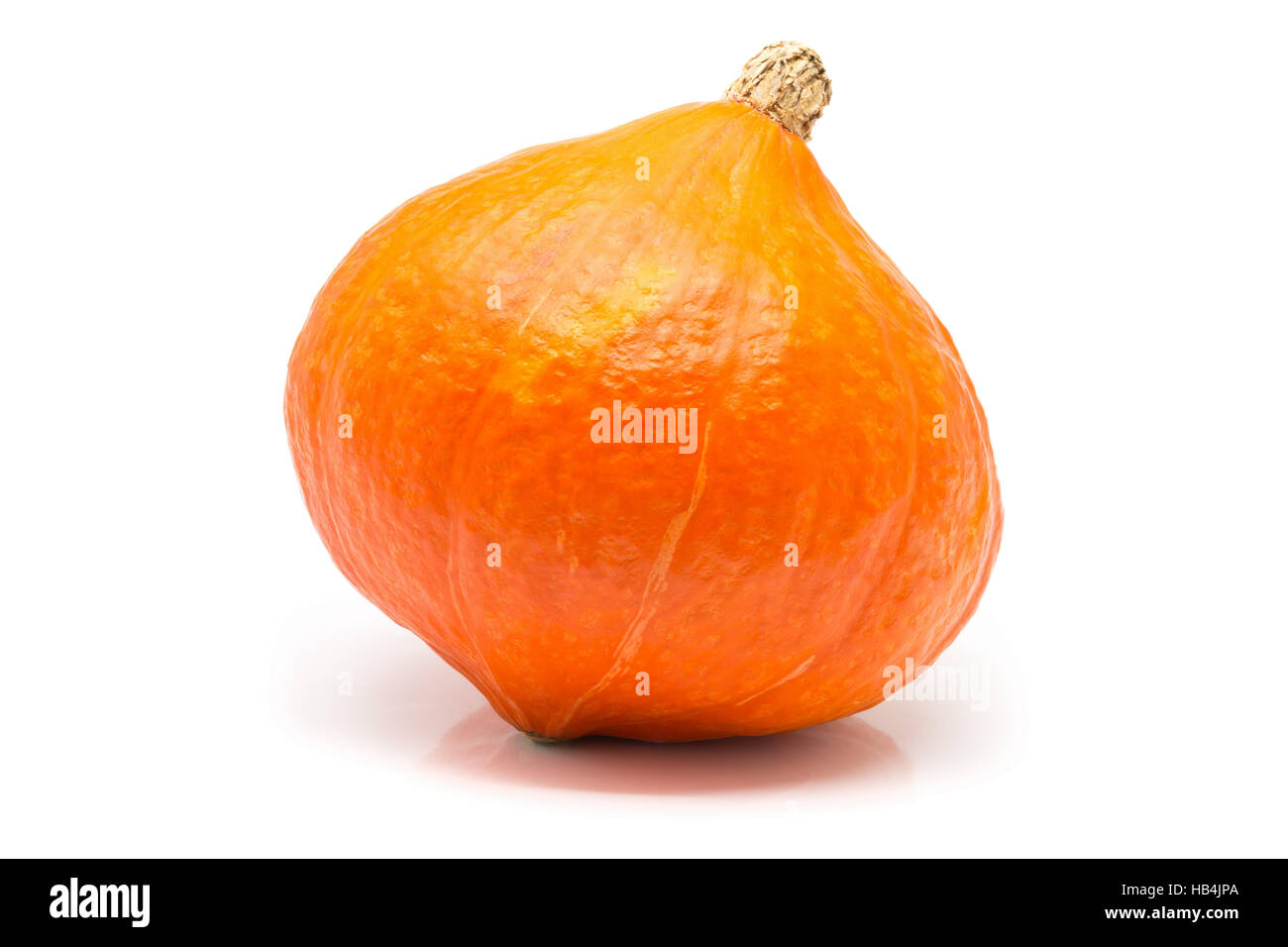 Red hokkaido squash (also called red kuri squash) over white background ...