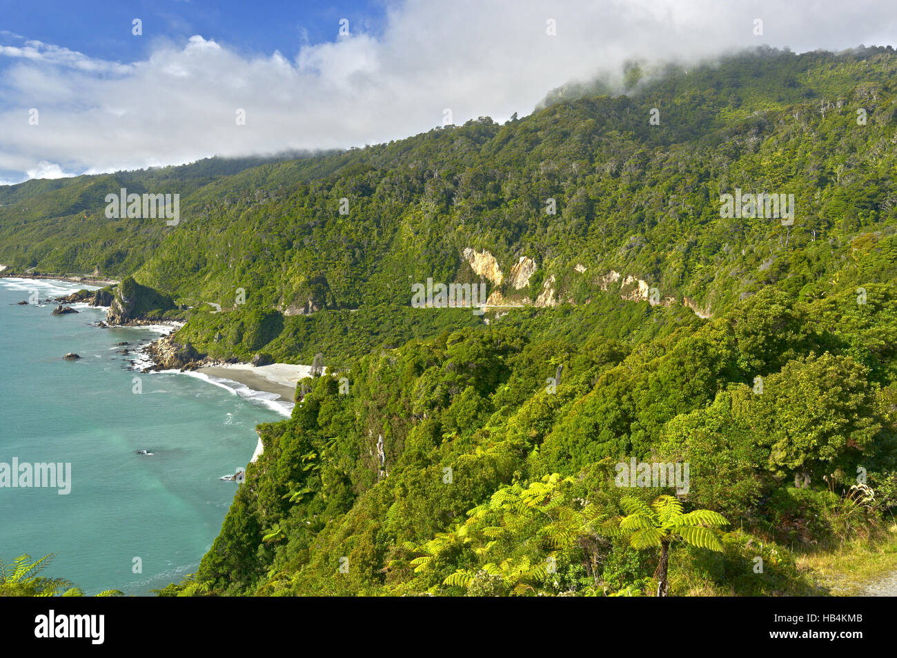 Jungle rocks hi-res stock photography and images - Alamy