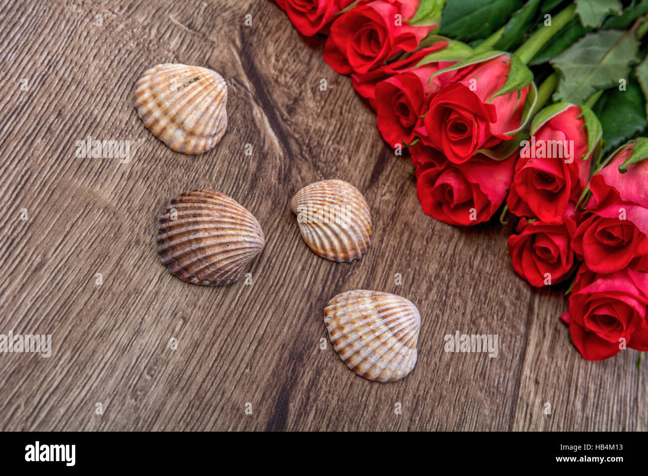 Brown shells and roses on wooden background Stock Photo - Alamy