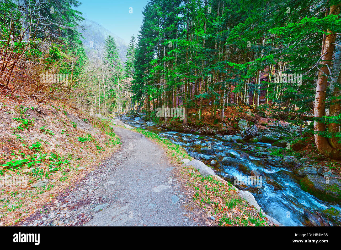 Forest road construction hi-res stock photography and images - Alamy