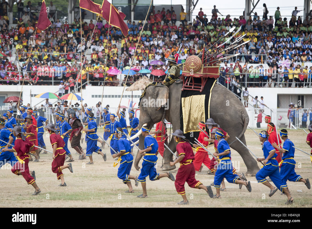 Surin elephant round hi-res stock photography and images - Alamy