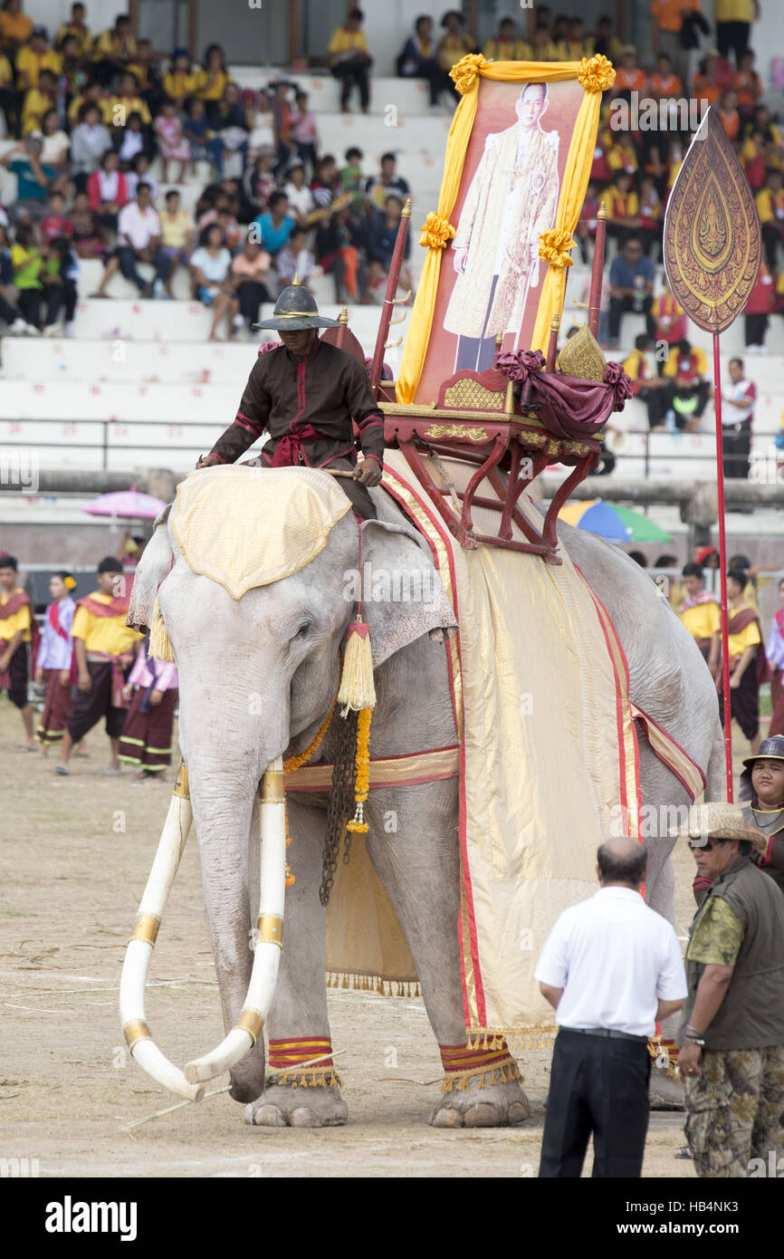 THAILAND SURIN ELEPHANT ROUND UP FESTIVAL Stock Photo - Alamy