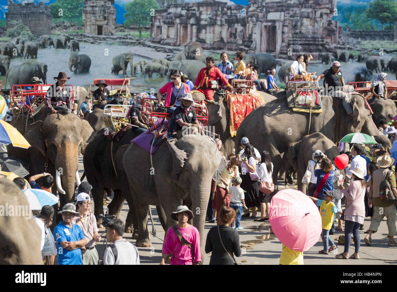 Thailand elephant festival hi-res stock photography and images - Alamy