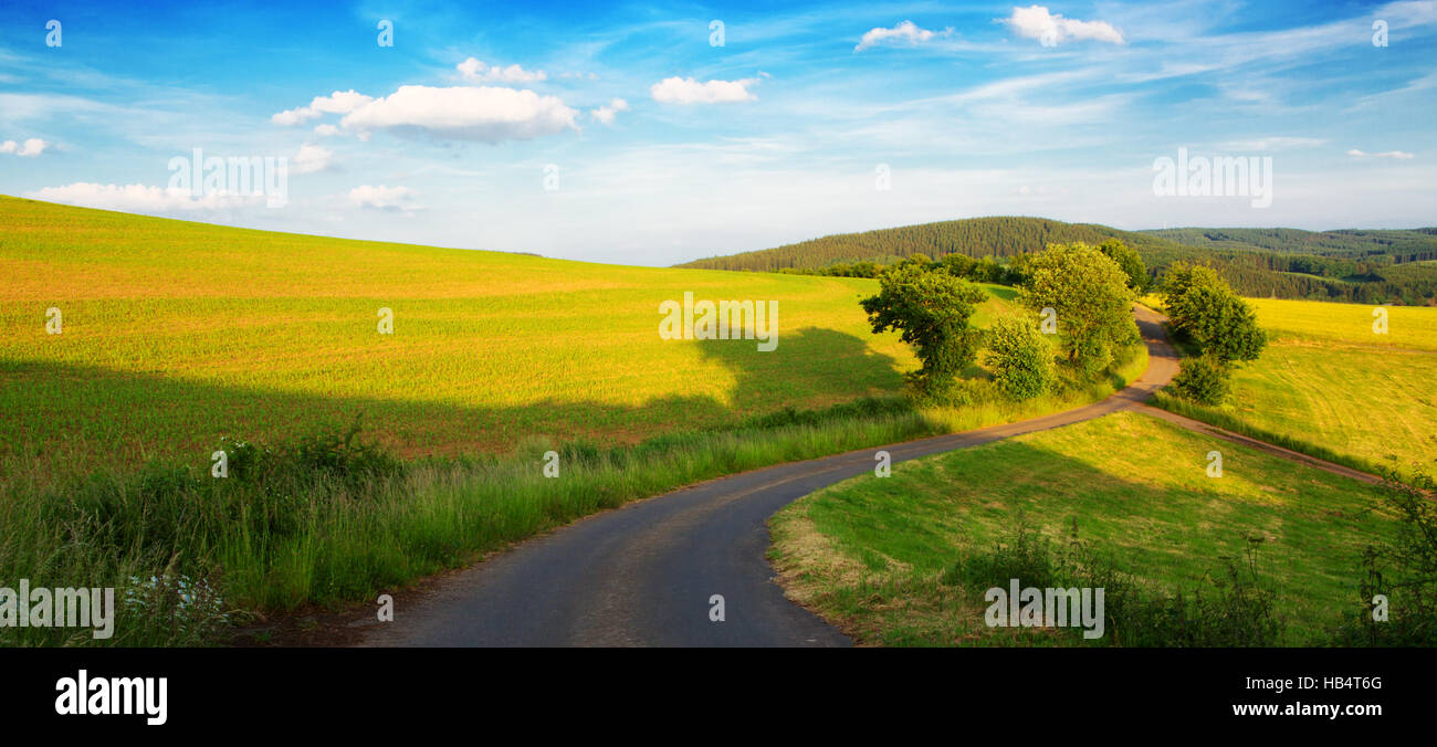 Landscape with field and trees Stock Photo - Alamy