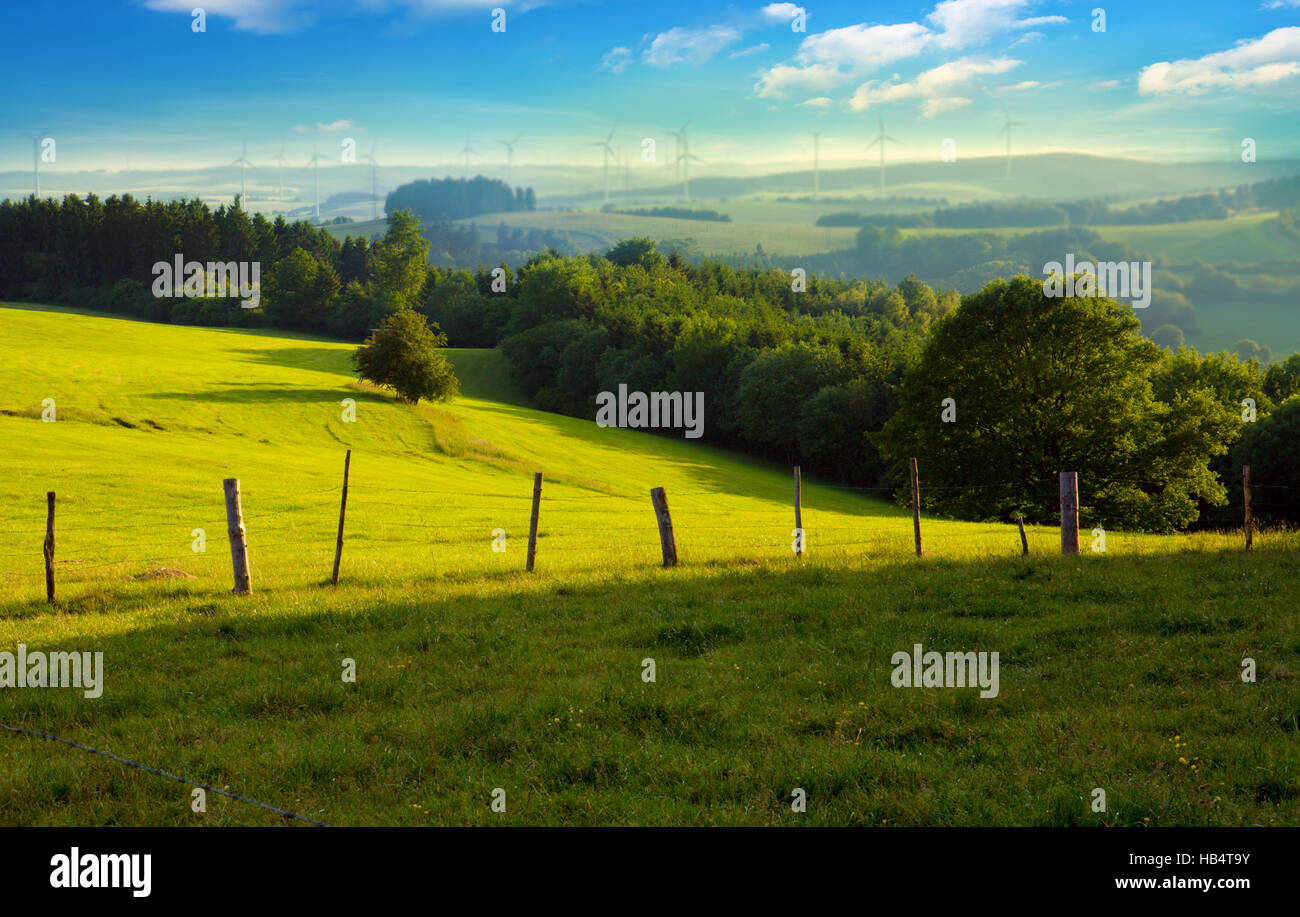 Beautiful landscape grass trees hi-res stock photography and images - Alamy
