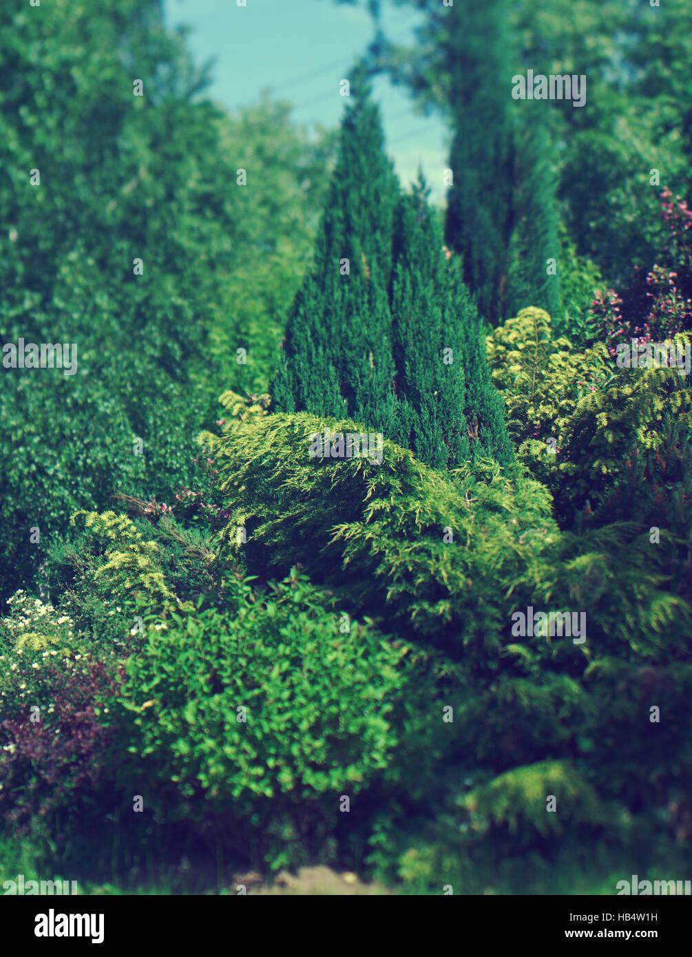 Pretty bushes hi-res stock photography and images - Alamy