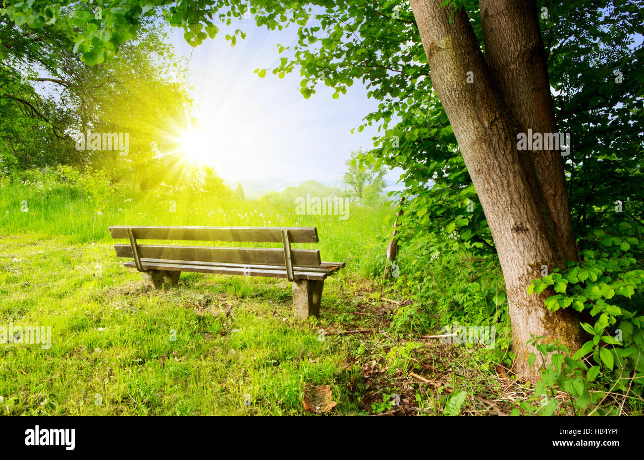 Bench in sun hi-res stock photography and images - Alamy