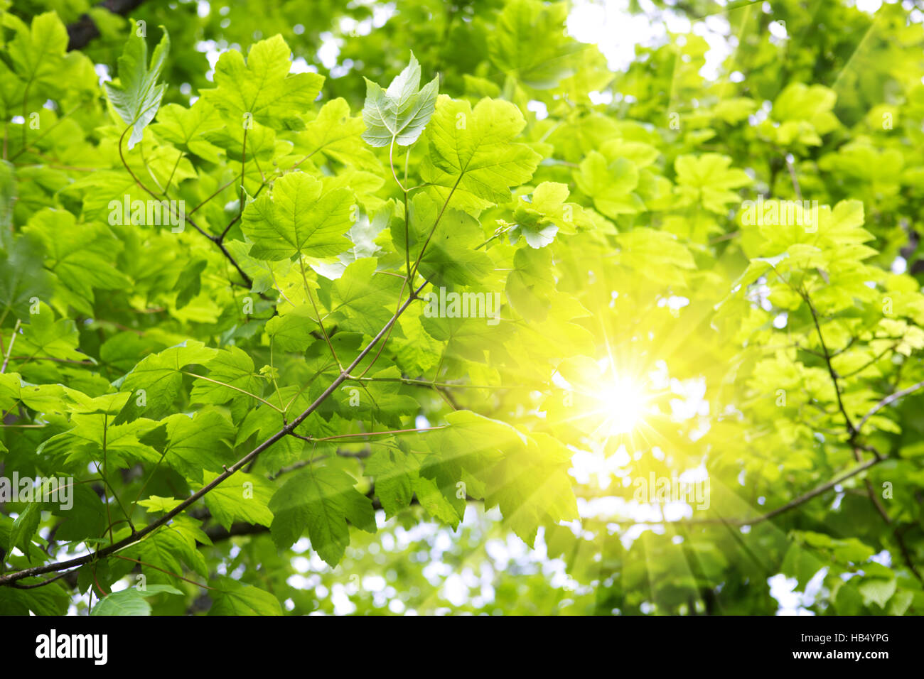 Beautiful sunset german spring hi-res stock photography and images - Alamy