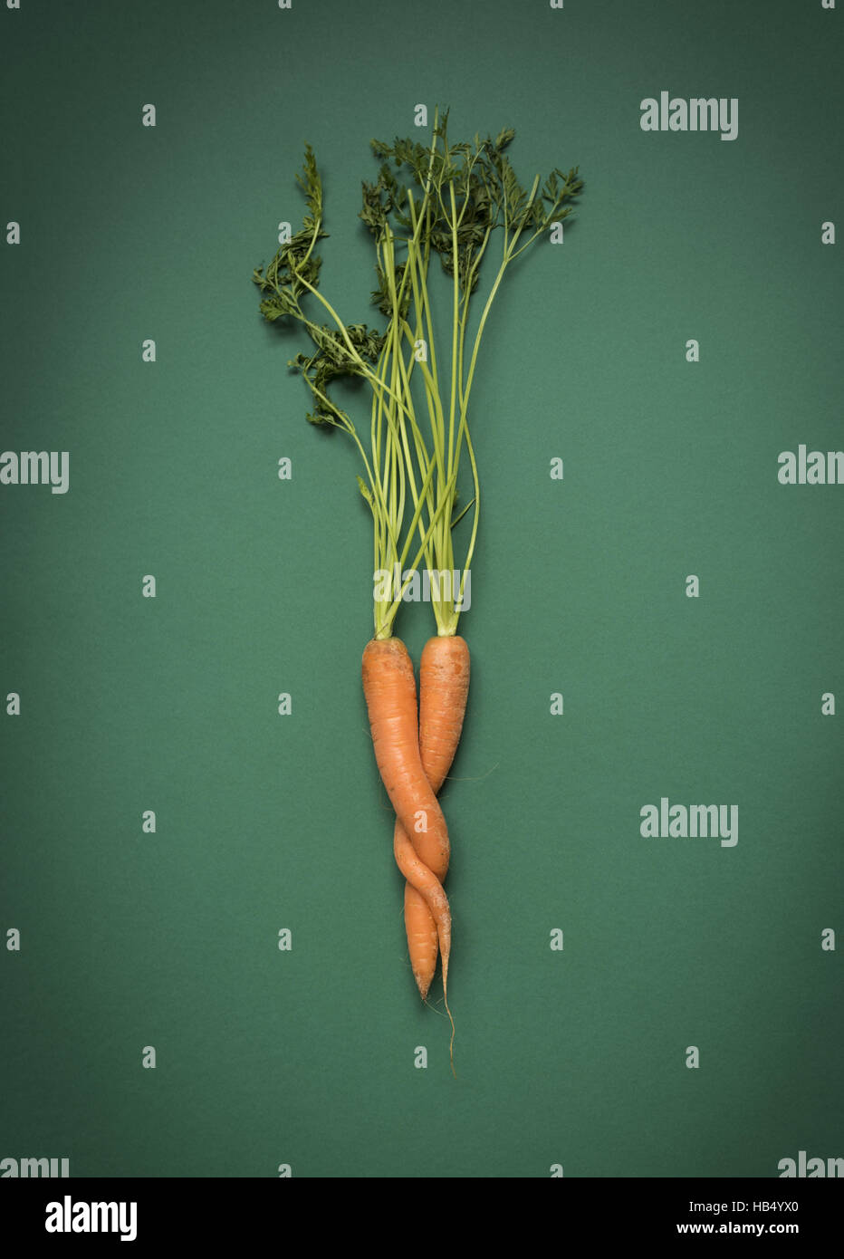 Love bio hi-res stock photography and images - Alamy