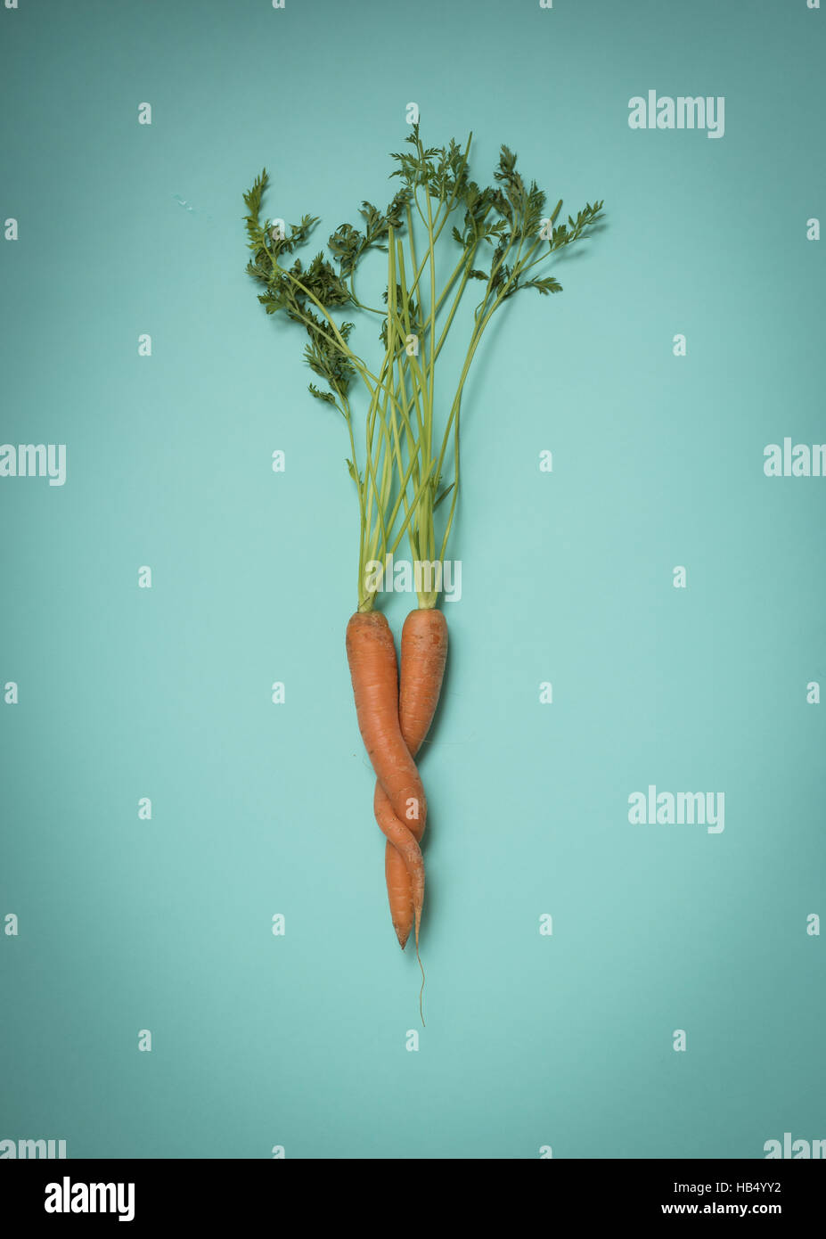 carrots in love Stock Photo - Alamy
