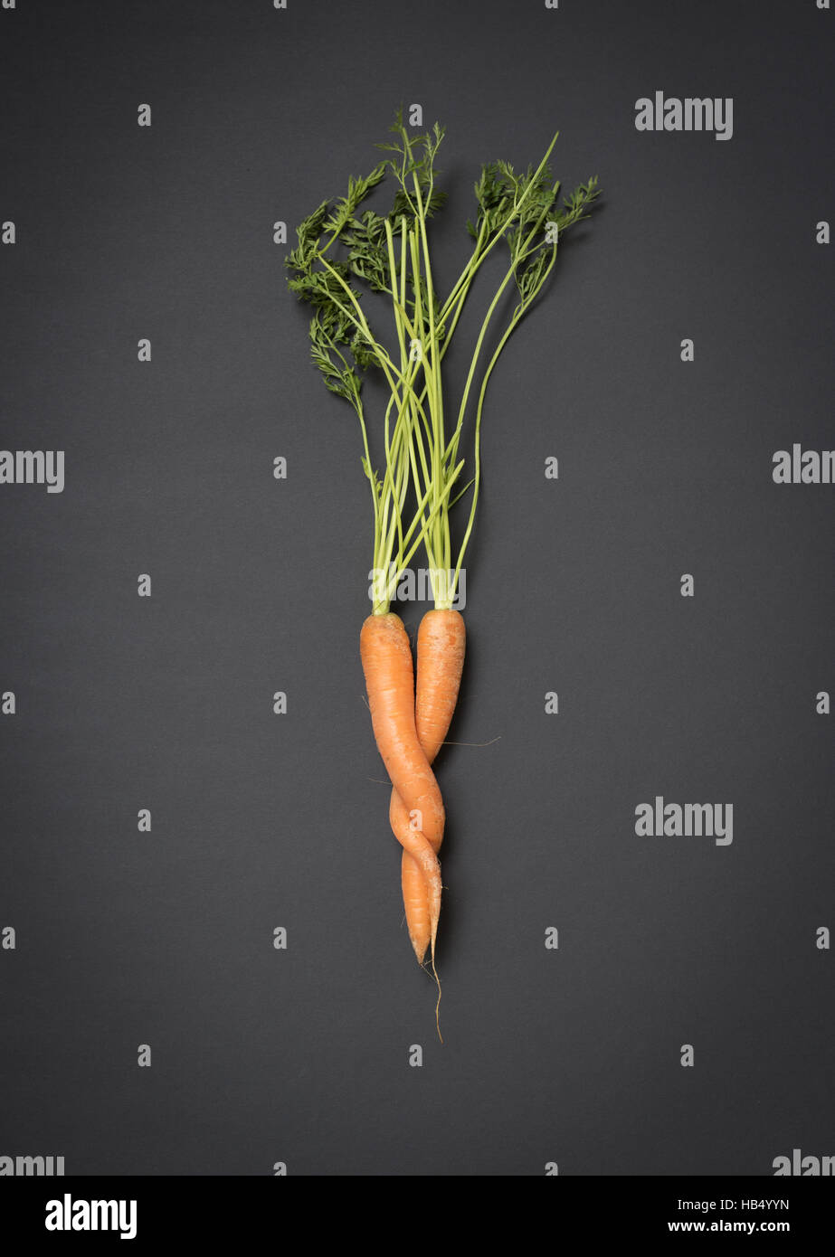 Love bio hi-res stock photography and images - Alamy