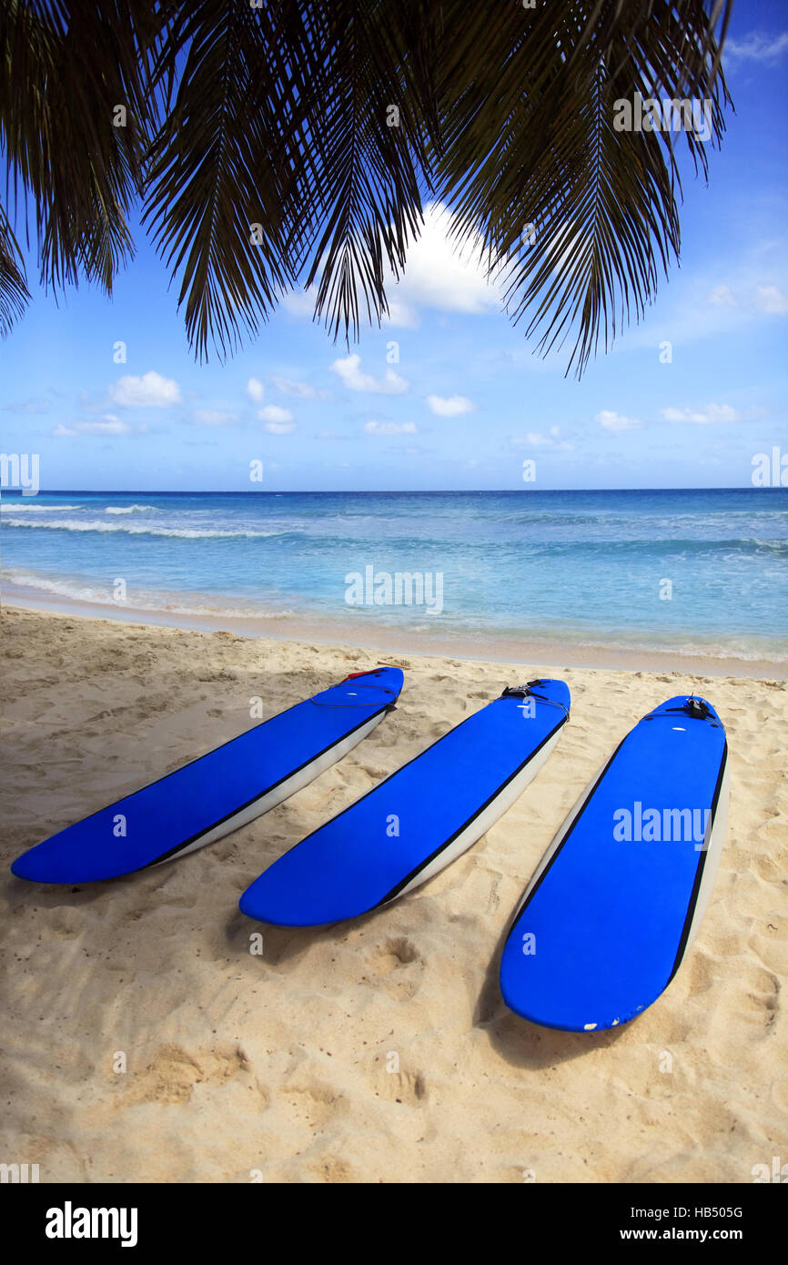 Surfboards at beach Stock Photo - Alamy