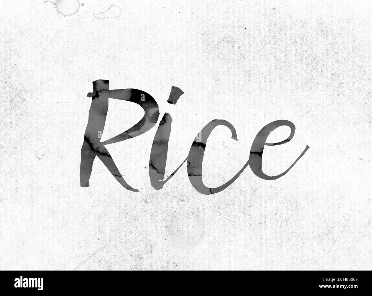The word "Rice" concept and theme painted in watercolor ink on a white ...